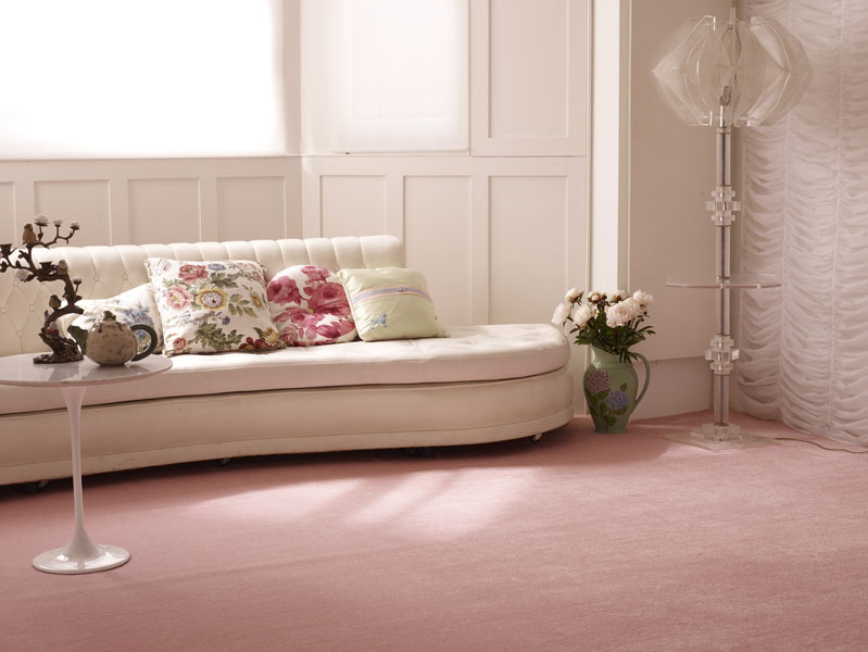 Sarah Kaye Representation