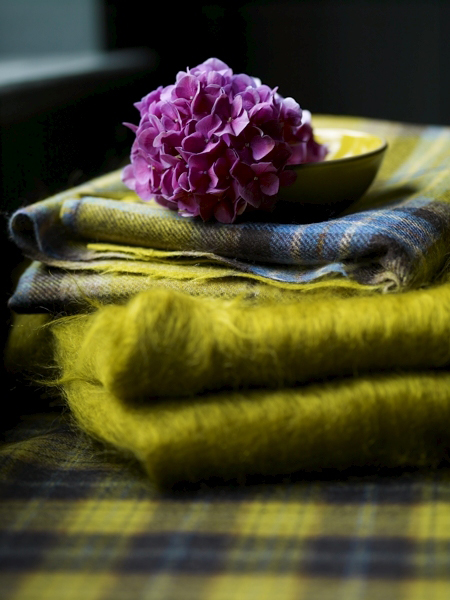 Sarah Kaye Representation