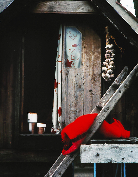 Sarah Kaye Representation